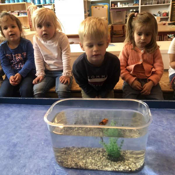 Foto's | Berk+Beuk - Centrumscholen Deerlijk